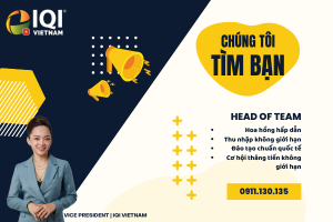 🚀 [Head of Team Sales - IQI VIỆT NAM] 🌍